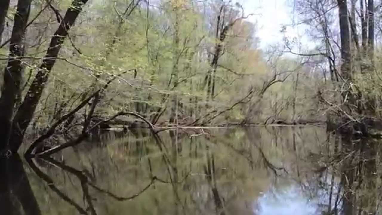 Cashie River - YouTube