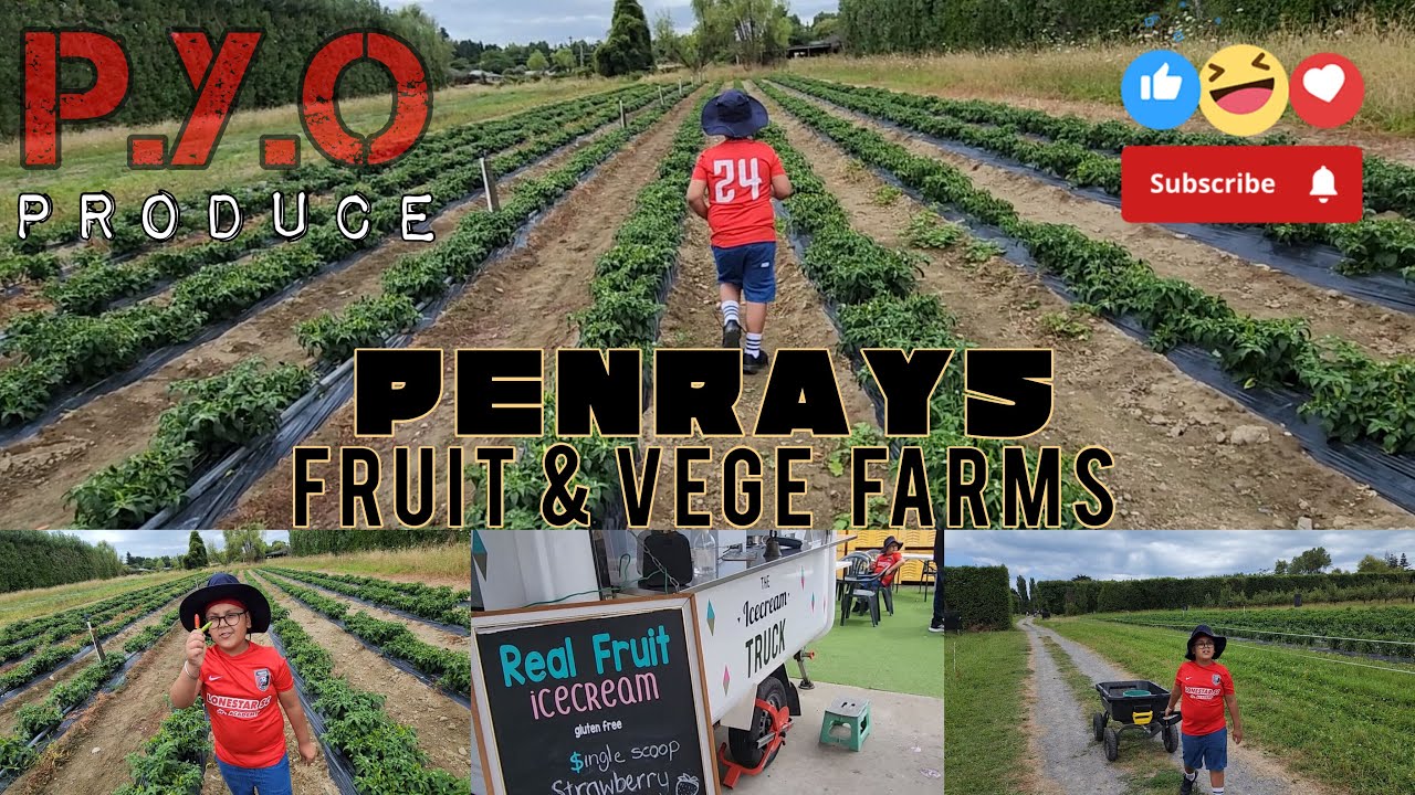 New Zealand Fruit and Vege Farm || Penray Garden || Otaki || Wellington ...