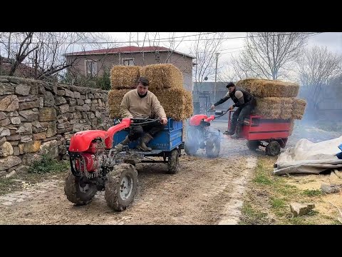 PATPATLARIN CANINI OKUDUK / SAMAN NAKLİYESİ