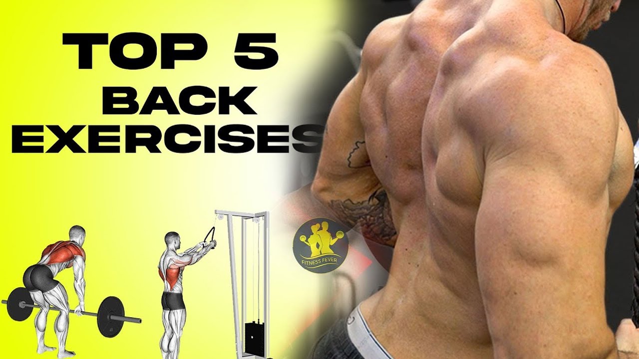 Exercises To Build Bigger Back | Complete Back Workout | Complete Back ...
