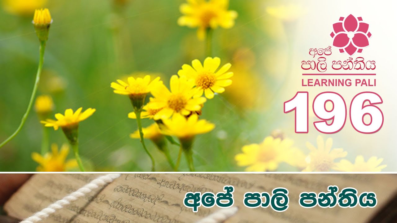 අපේ පාලි පන්තිය 196 | Learning Pali Language - YouTube