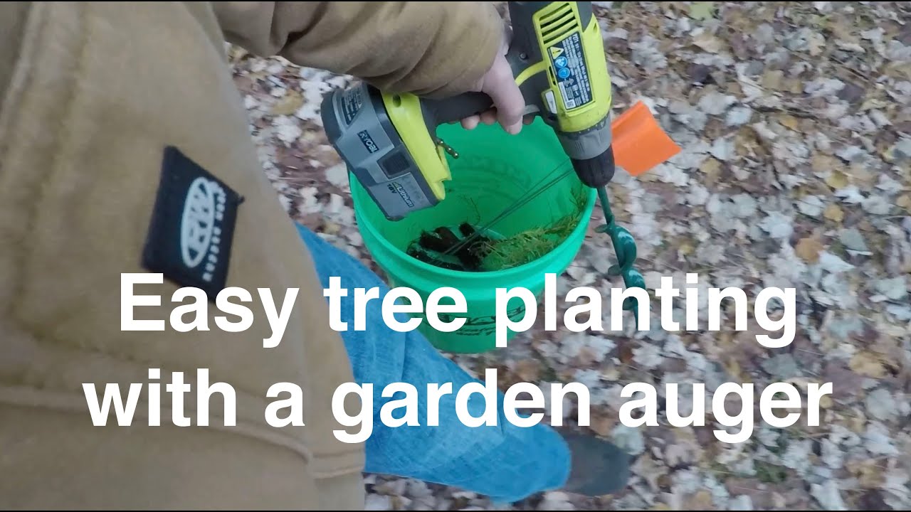 Easy evergreen tree planting with a garden auger - YouTube