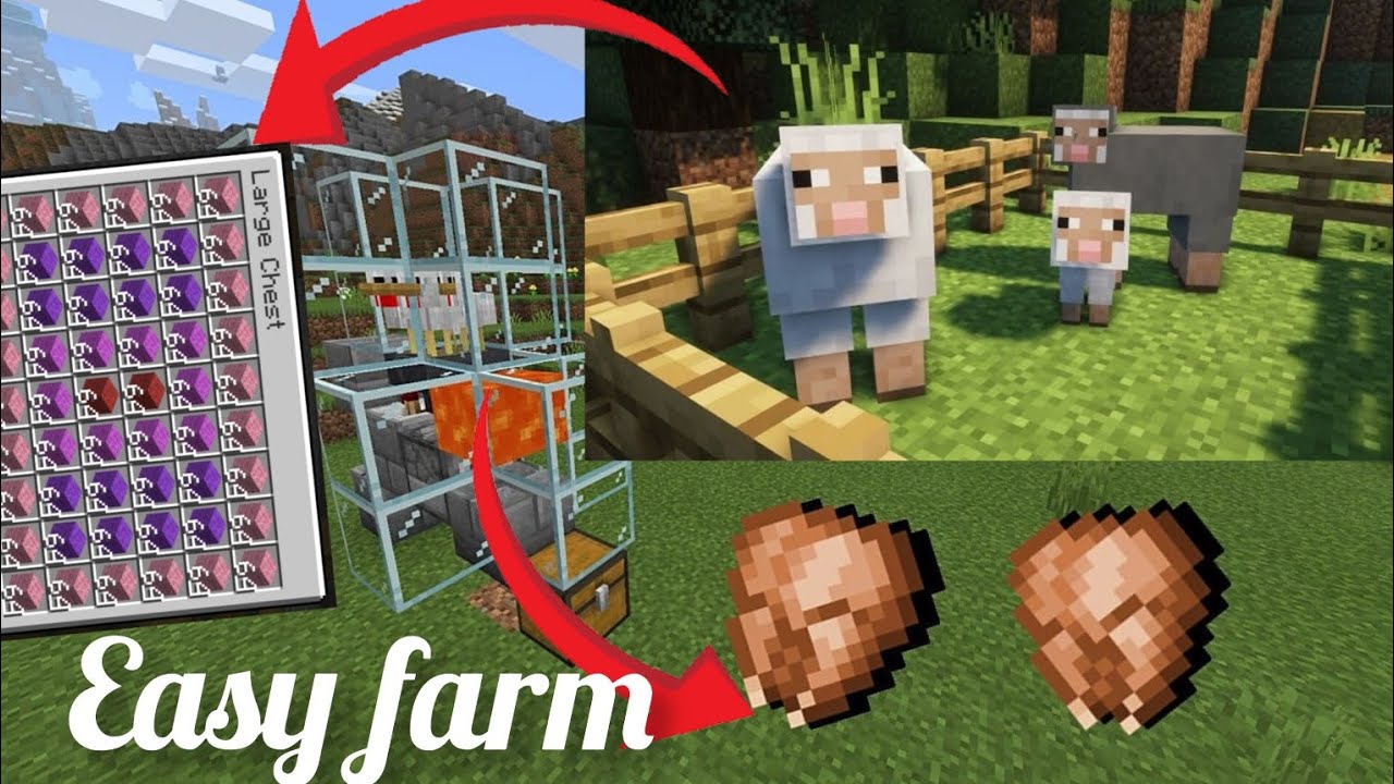 Minecraft:-how to build automatic wool farm and chicken farm in ...