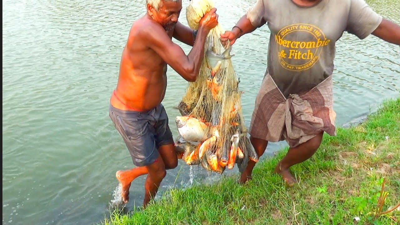 Catching River Pomfret fish with cast net | Net fishing in pond - YouTube