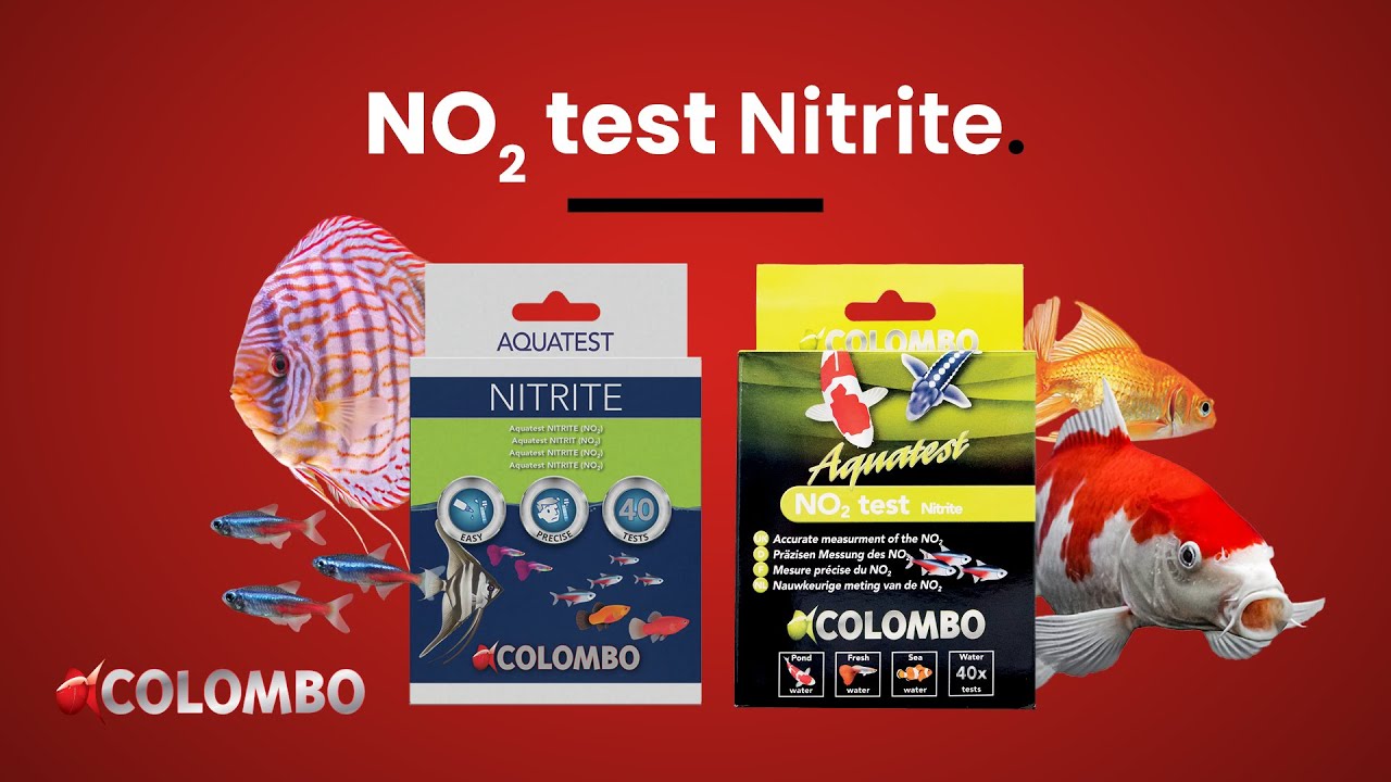 Colombo Pond Nitrite (NO2) Test - YouTube