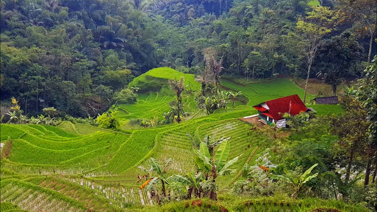 Kecapi Suling Sunda Penghantar Tidur I Sundanese Instrument - YouTube