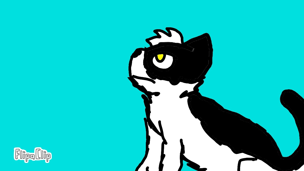 the cat fight in the end ..(swiftpaw) - YouTube