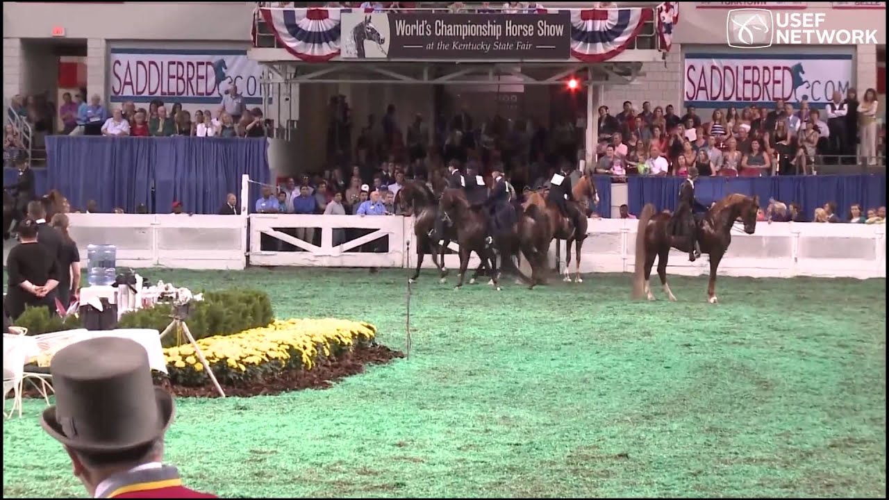 WGC CH Callaway's Annabel Allison - 2013 Horse of Honor - YouTube