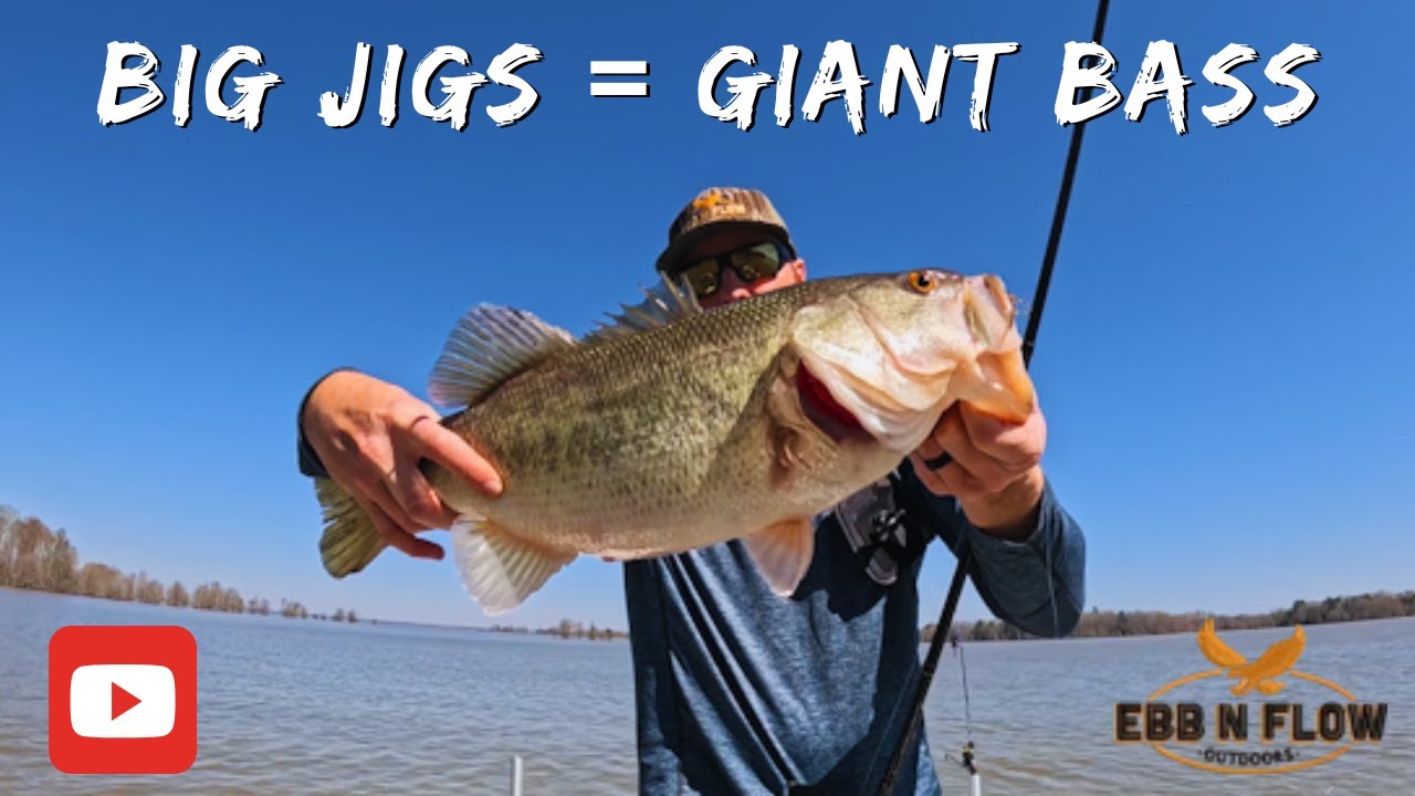 Santee Cooper Monster Bass on Jigs ! - YouTube