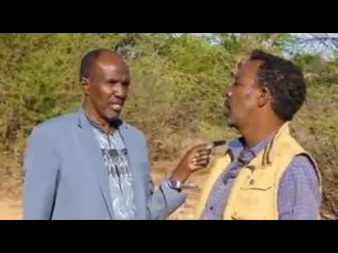 Maxaa kala qabsaday AHUN SOORAAN Iyo JAWAAN🤣 - YouTube