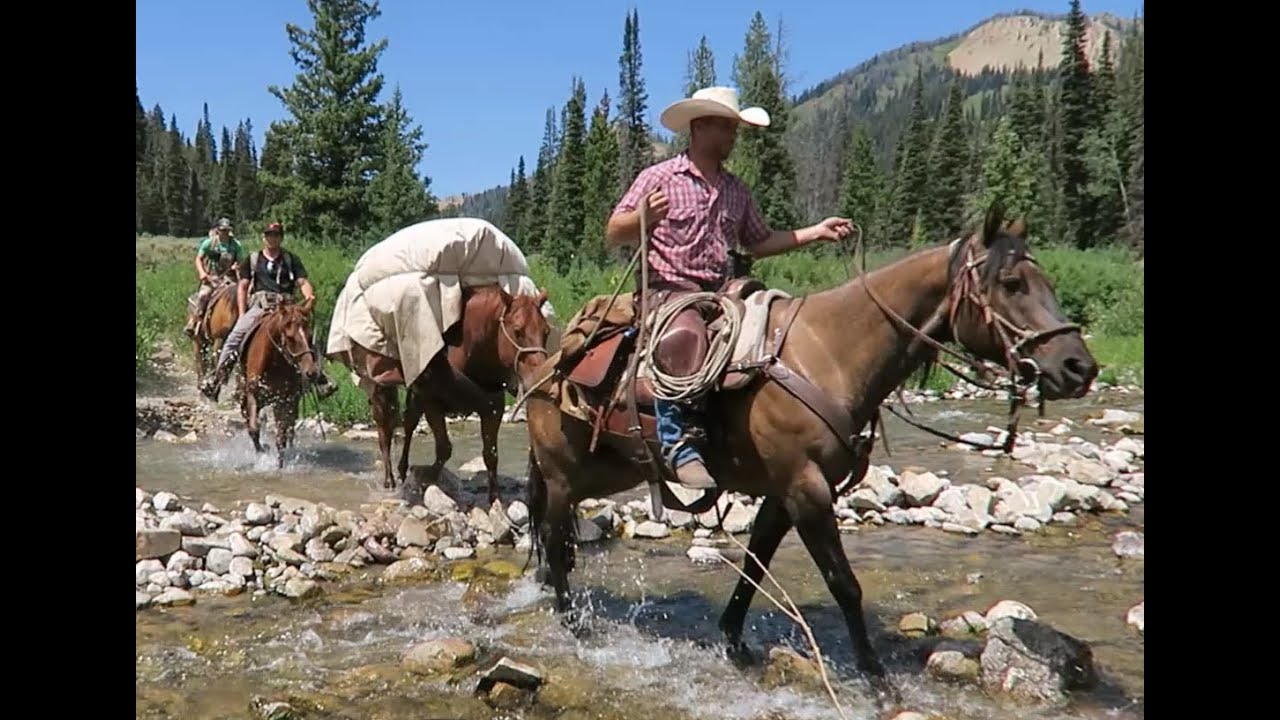 SCOUTING HIGHCOUNTRY DEER ON HORSES!! - YouTube