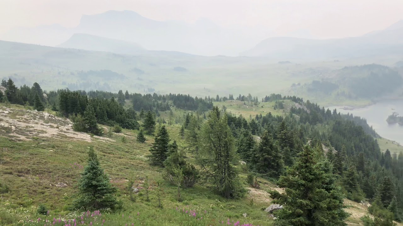 Standish Viewing Deck, Sunshine Meadows | Kootenay National Park, BC ...