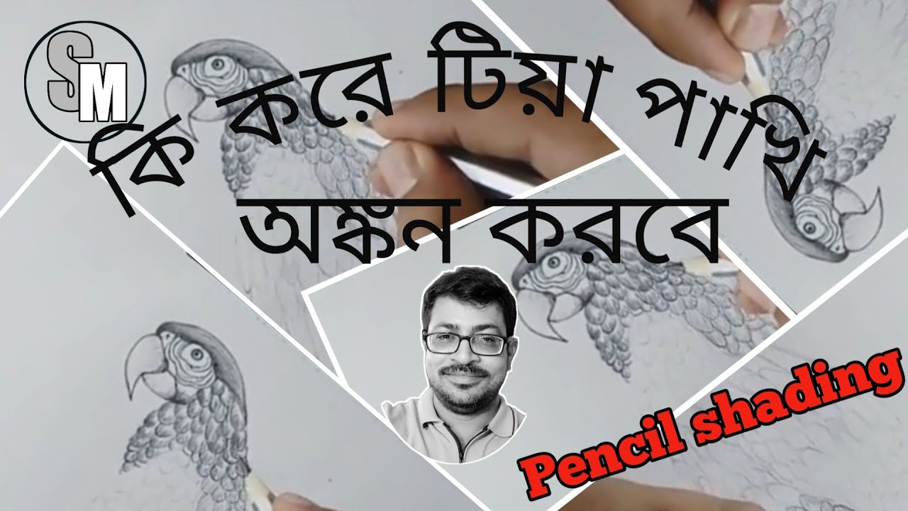 //How to draw parrot//simple parrot drawing //parrot shading //simple ...