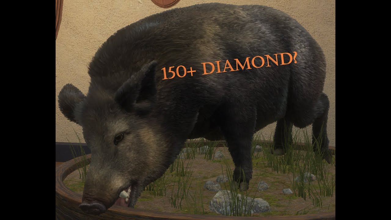 Humongous Diamond Feral Pig! in theHunter: Call of the Wild - YouTube