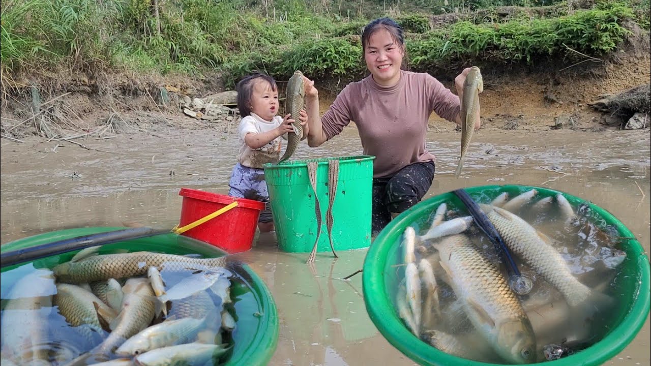 Drain the pond, catch a lot of pre-processed fish - lmarinate and ...