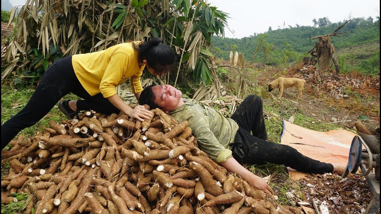 Make dried cassava. He always appears at the right time to help me ...