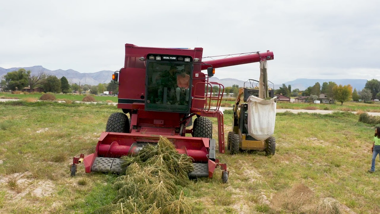 Colorado Hemp and CBD Products | Colorado Hemp Solutions