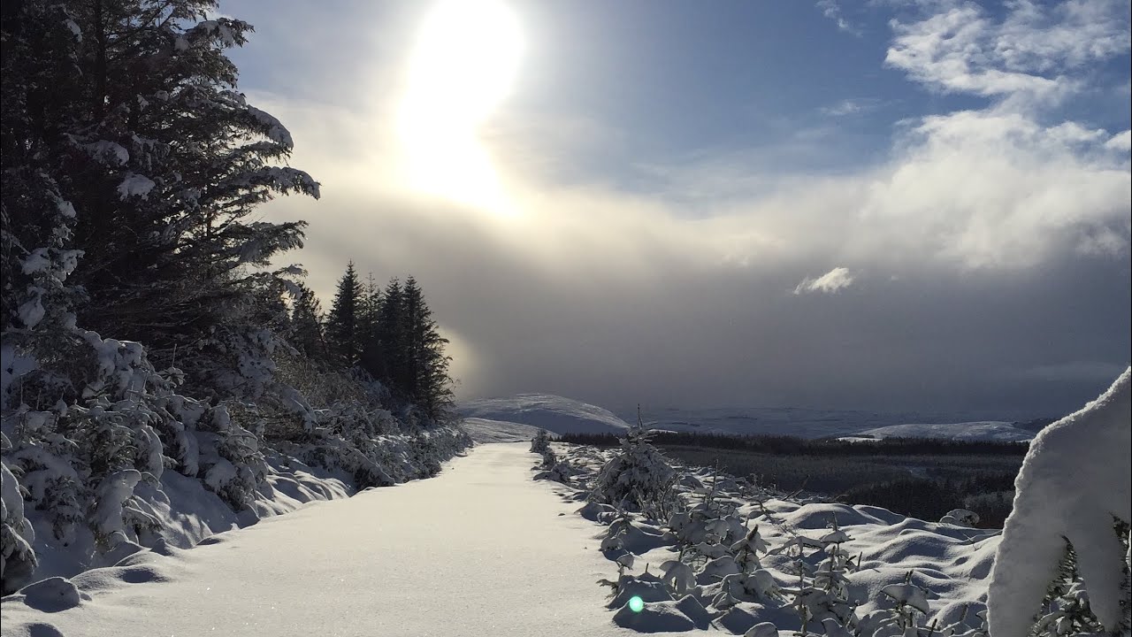 Snowy Kidland Forest - February 2015 - YouTube
