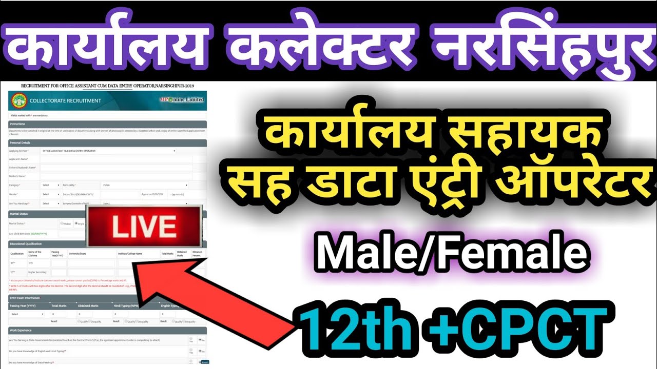 Data entry operator | Office Assistant Sub data Entry Operator | - YouTube