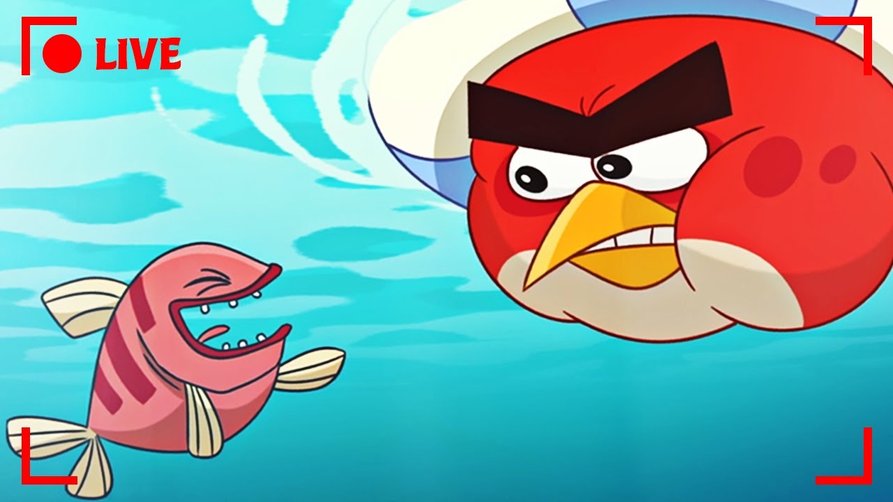 🔴 LIVE Angry Birds Pool Party | Dive into Trouble! - YouTube