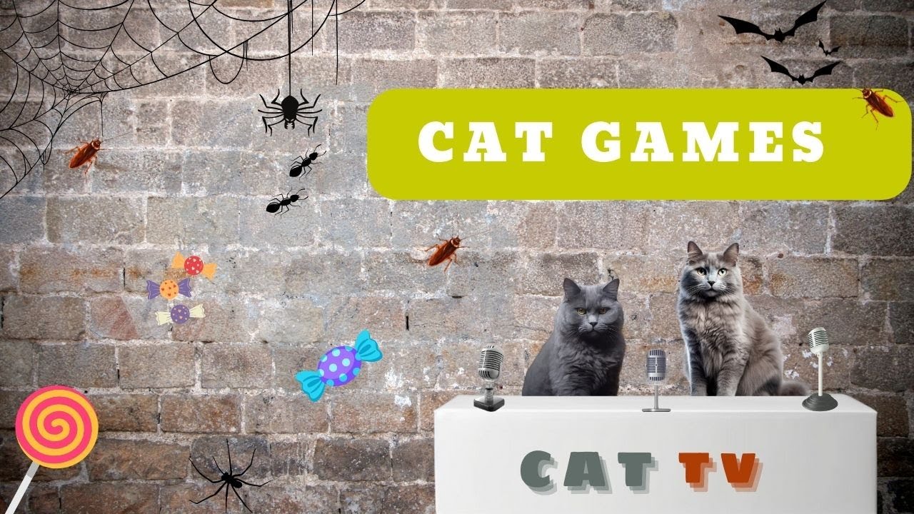 Cat Games | Ultimate Cat TV Bugs and Butterflies Compilation Vol 2 ...