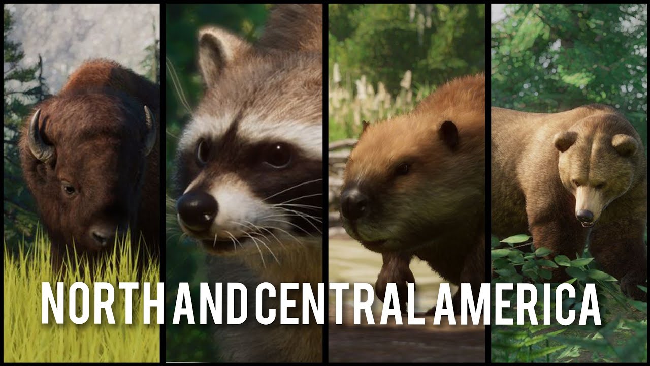 Planet Zoo: North And Central American Animals Race - YouTube