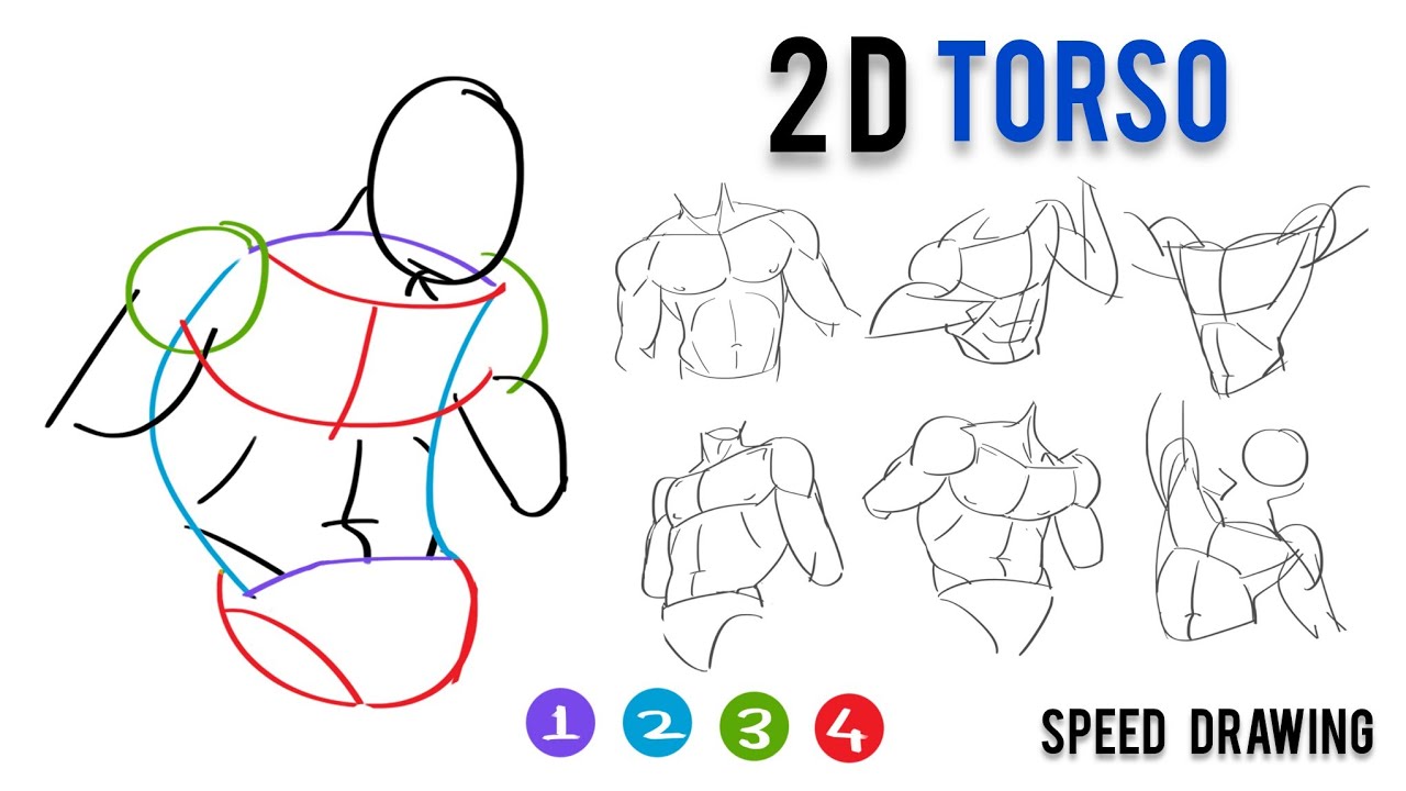 Draw a Torso using 2D shapes | Art tutorial - YouTube