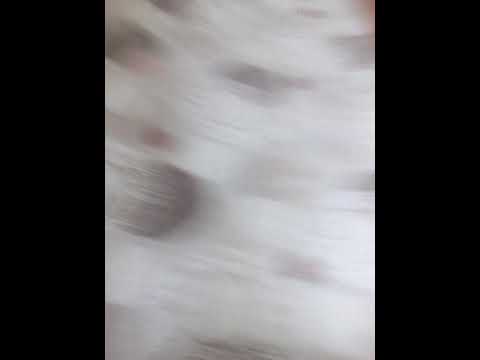 Evde garip cins bişey var