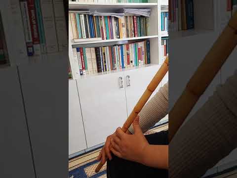 Yapma dedim yaptın gönül (Ney)