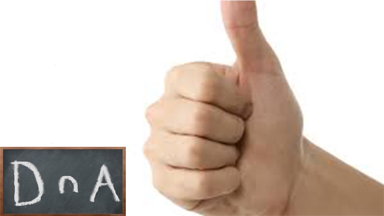 Left-Handed Test - DnA - YouTube