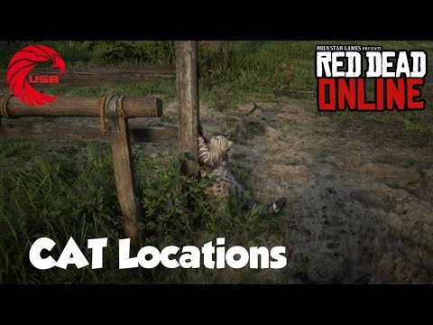 Cat Locations rdr2 Online - Red Dead Online Cats Location Guide - YouTube