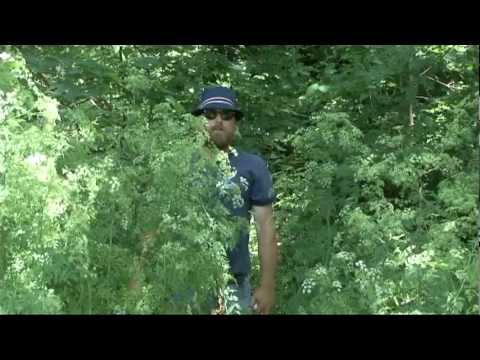 2011 Mulberry Telecommunications Charity Golf Video Commercial - YouTube