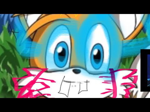 Tails on a bench * original music video* #meme - YouTube