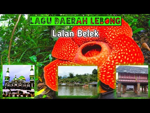 Lirik lagu daerah || Lalan belek || Lebong - Bengkulu - YouTube
