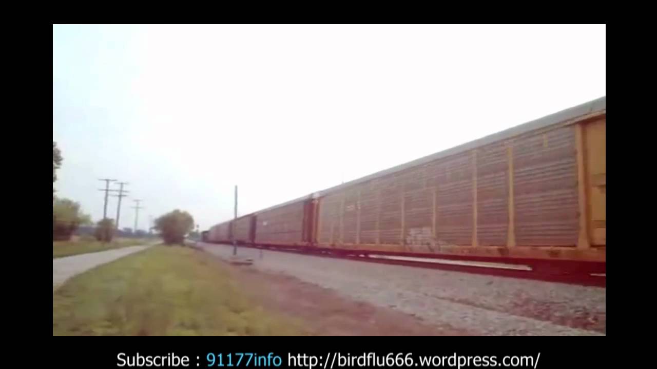 FEMA TRAINS ARE FOR FEMA COFFINS !! - YouTube