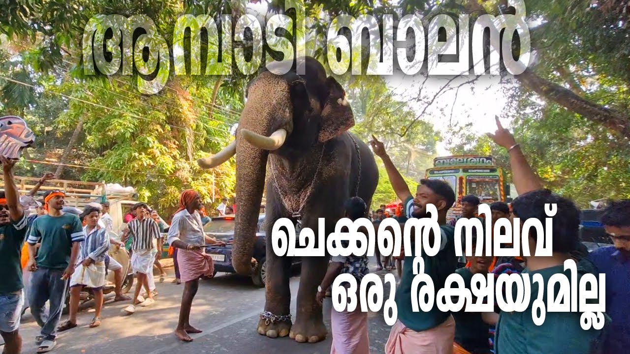 AMBADI BALANARAYANAN 🔥 അമ്പാടിക്ക് നൽകിയ ഗംഭീര സ്വീകരണം | Aruvai ...