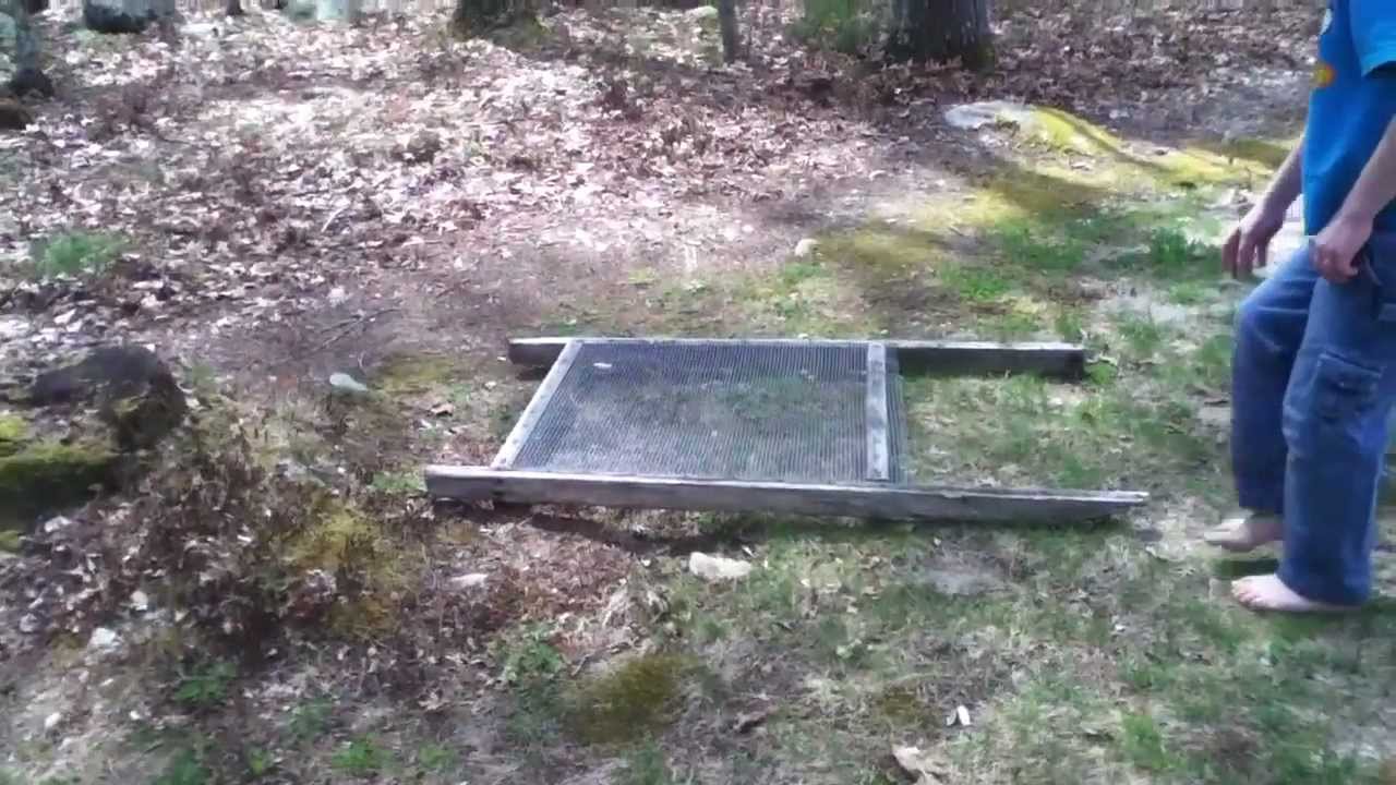 Rapid squirrel attack - YouTube