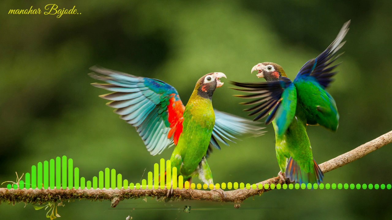 Abhal bharun yeil........ - YouTube