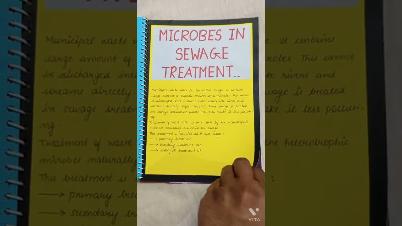 biology project on "microbes in human welfare..." for class 12 - YouTube