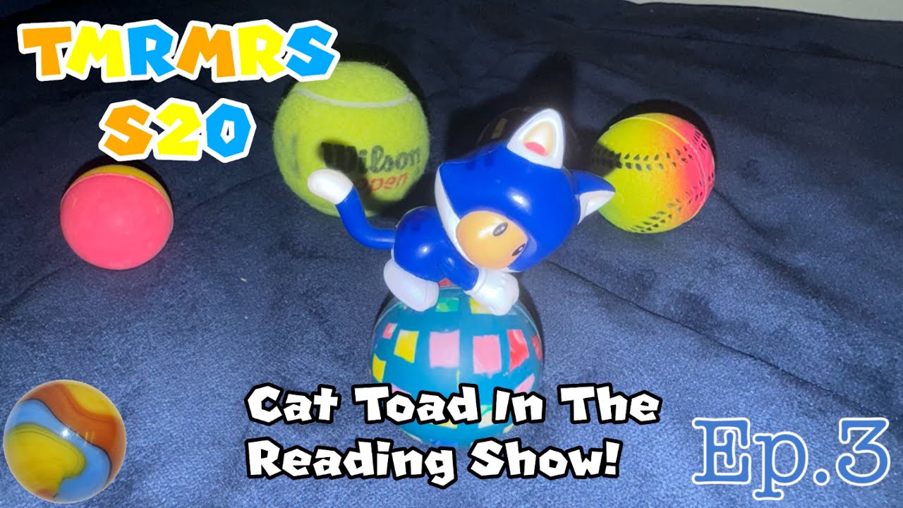 The Marble Race Master Reading Show S20 Ep.3 Cat Toad In The Reading ...