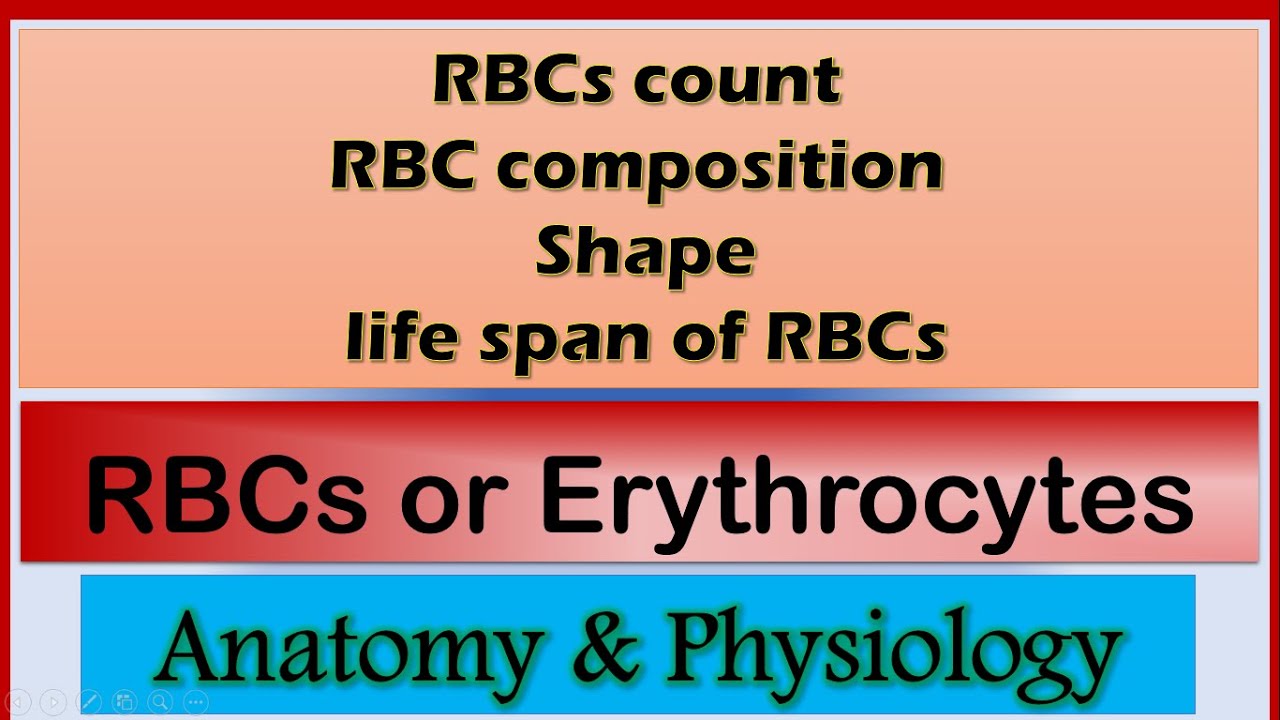RBCs || Erythrocytes || Blood Par-3 || RBC count || RBC composition ...