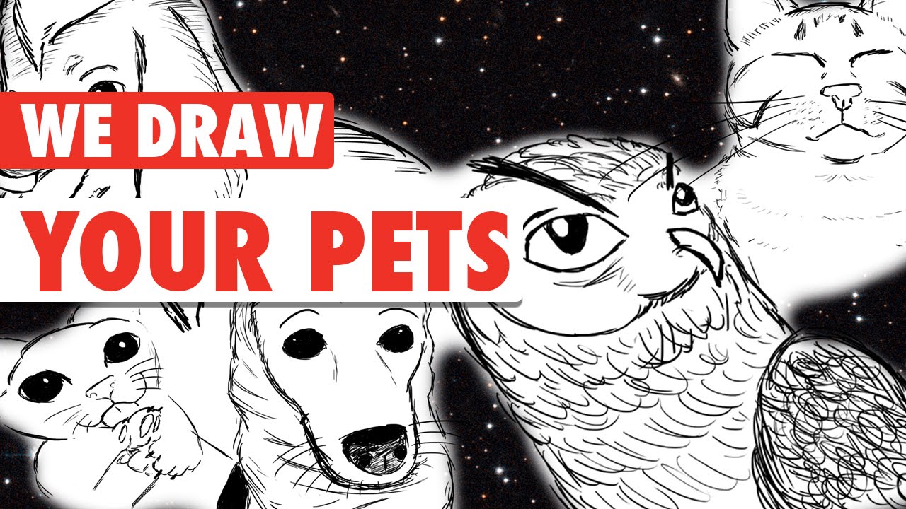 Draw My Pet || Awesome Animal Art - YouTube