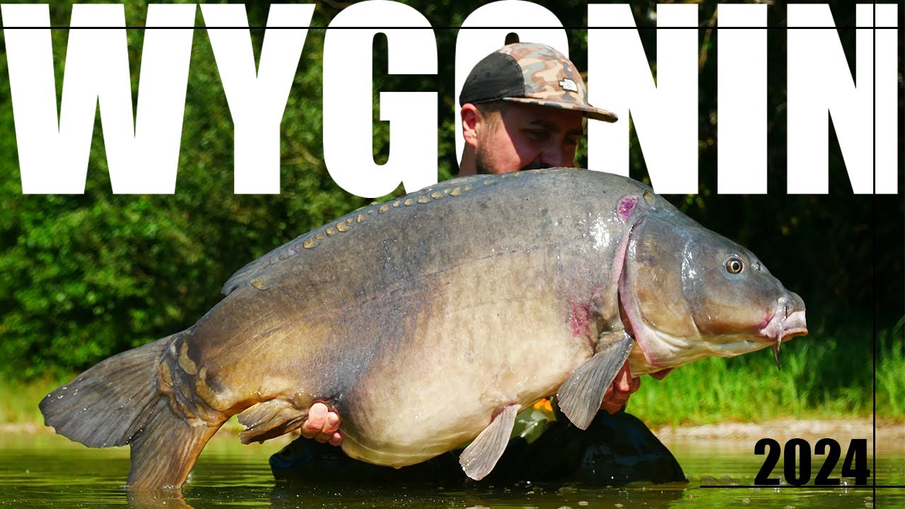 ZŁOWIŁEM NAJSTARSZEGO KARPIA Z WYGONINA - YouTube