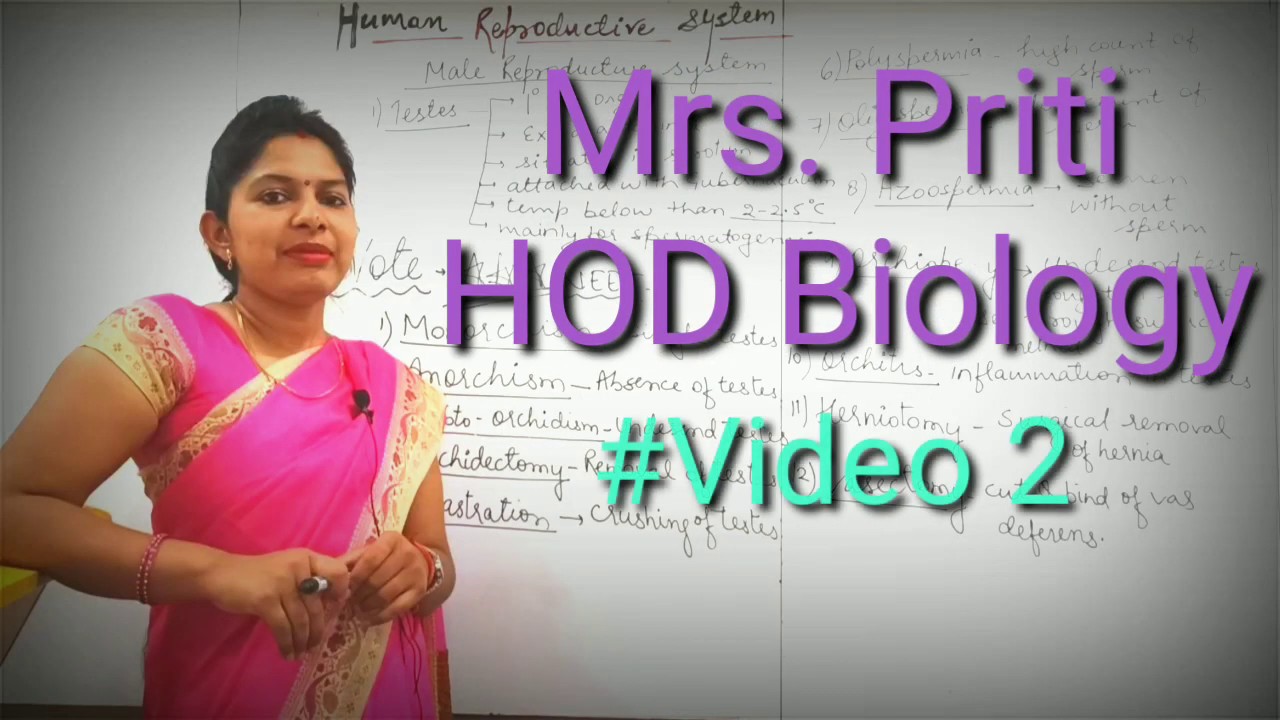Lecture 2 | HUMAN REPRODUCTION SYSTEM video by Mrs. Priti (HOD Biology ...