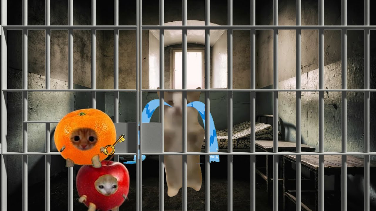 Fruit Cats save the Happy cat - YouTube