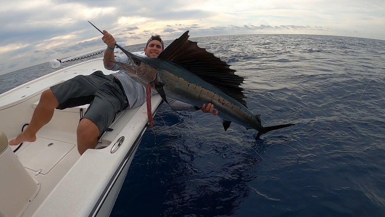 EPIC Kite Fishing offshore | First sailfish ever! - YouTube