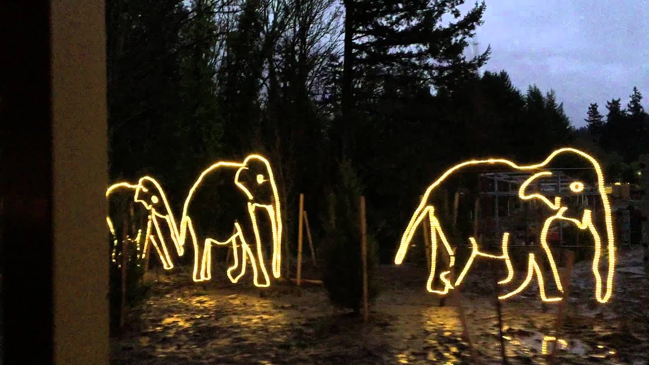 Oregon ZOO lights train ride 2014 - YouTube