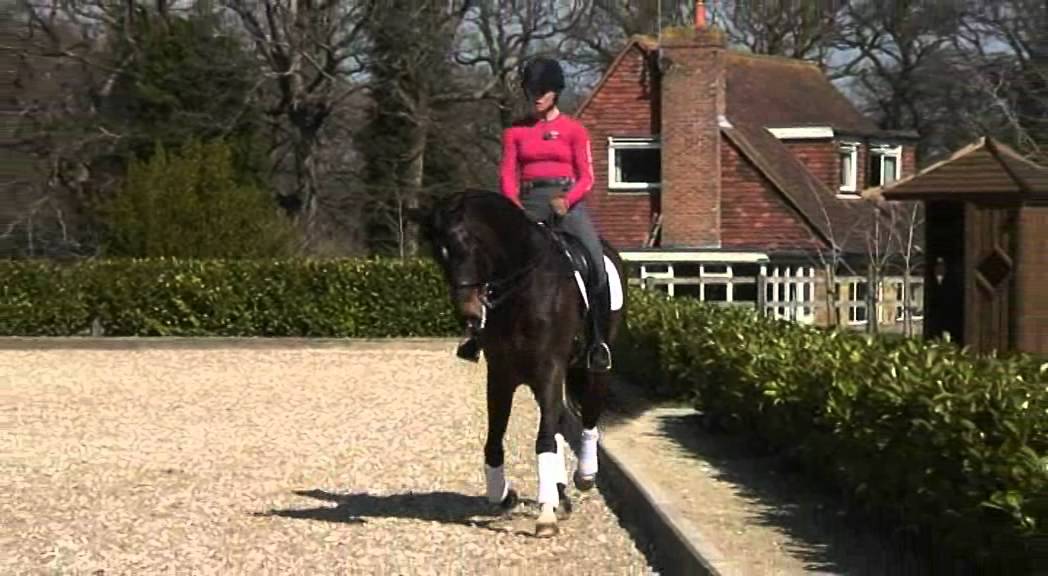 Sarah Millis trains Melissa Beer at Prix St Georges level: Part 2 ...