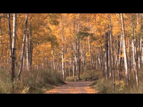 Song: Highland Trails / Album: Sunlight / Artist: Michael Benghiat