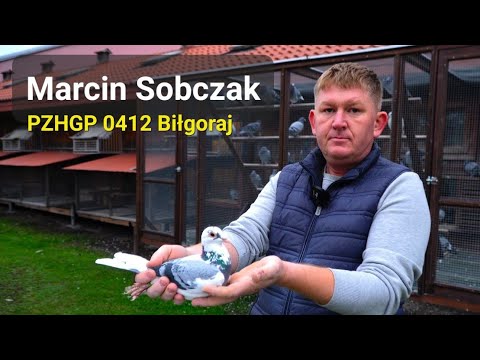Marcin Sobczak - PZHGP 0412 Biłgoraj / Mistrzowska hodowla i super wynik na Polskę 🇵🇱 🎉🏆 - YouTube